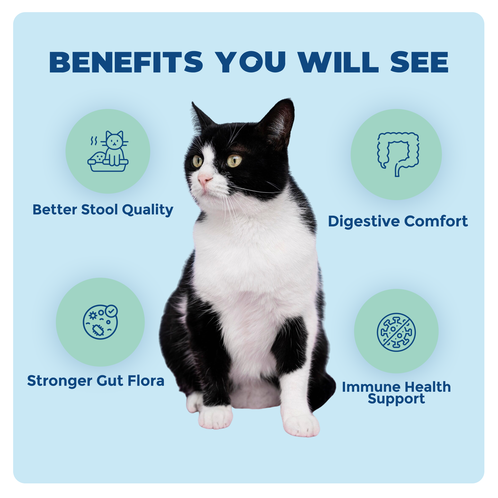 Synbiotic GB-01® Gut Balance | Probiotic for Dogs & Cats | Jope