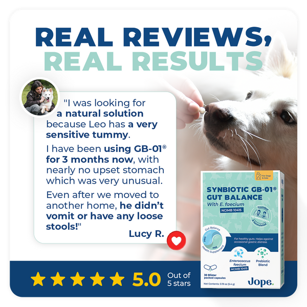 Synbiotic GB-01® Gut Balance | Probiotic for Dogs & Cats | Jope