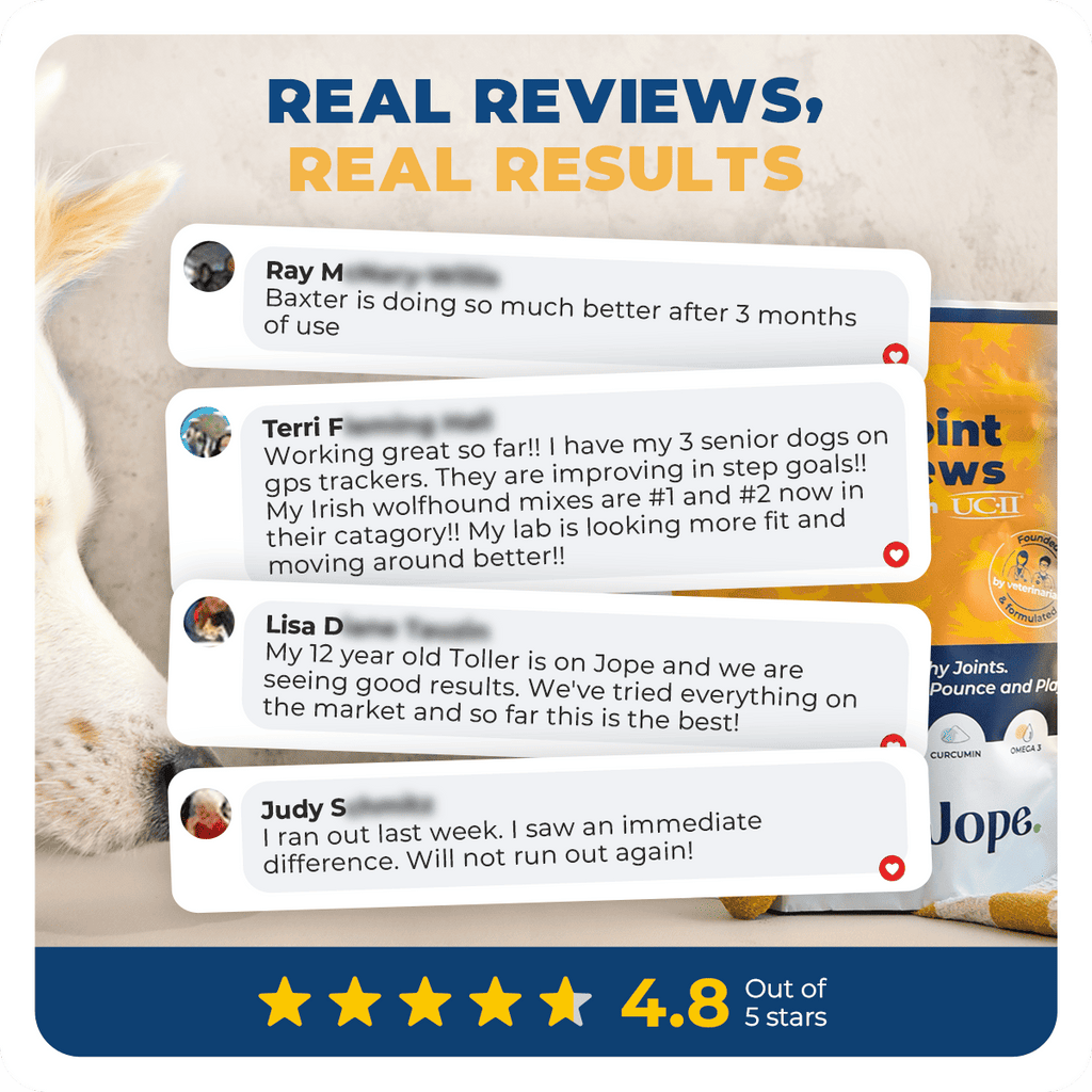 Jope Hip & Joint Supplements for Dogs - 60 Dog Chews