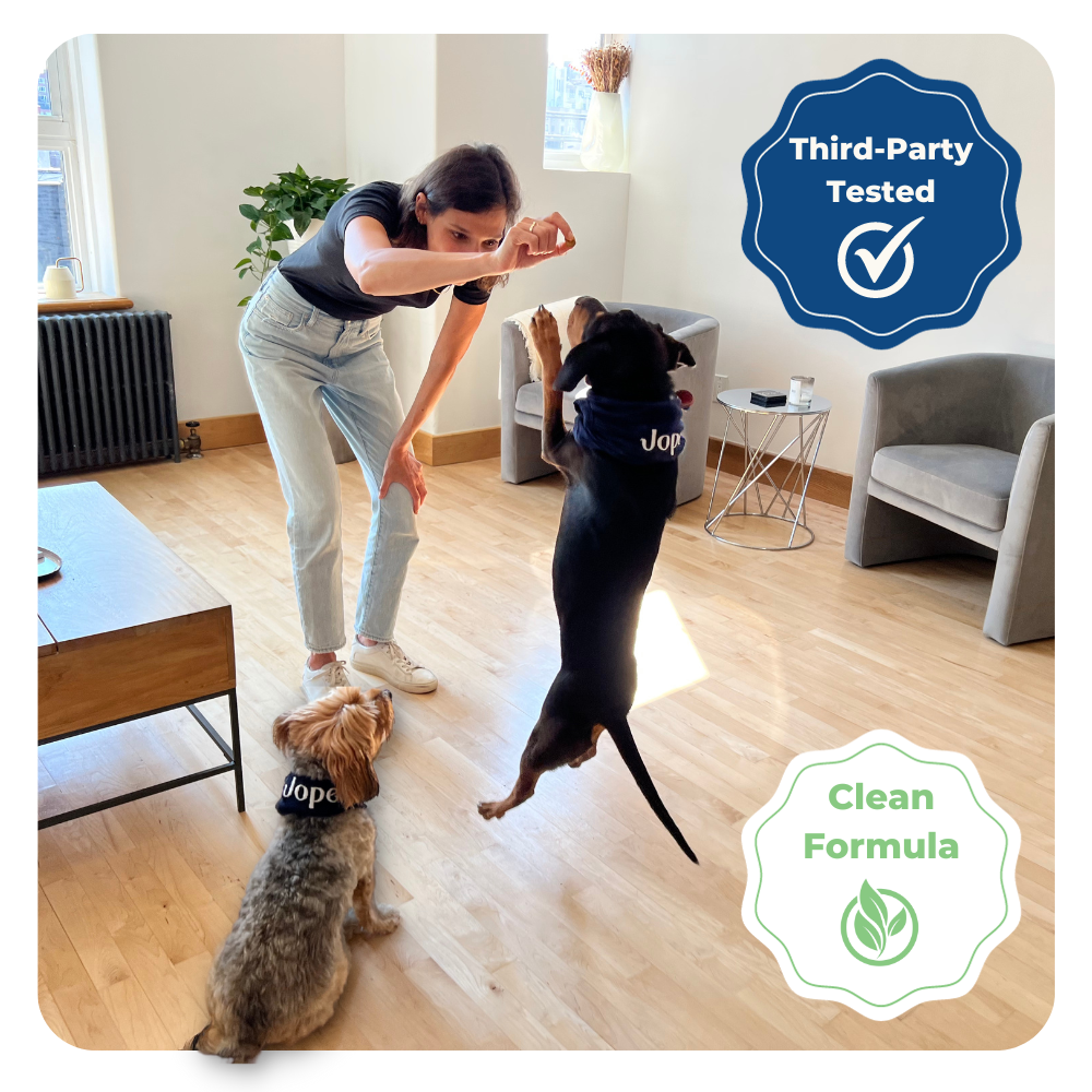 Jope Hip & Joint Supplements for Dogs - 60 Dog Chews